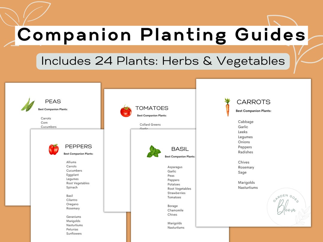 Printable Companion Planting Chart Quick Garden Reference - Etsy