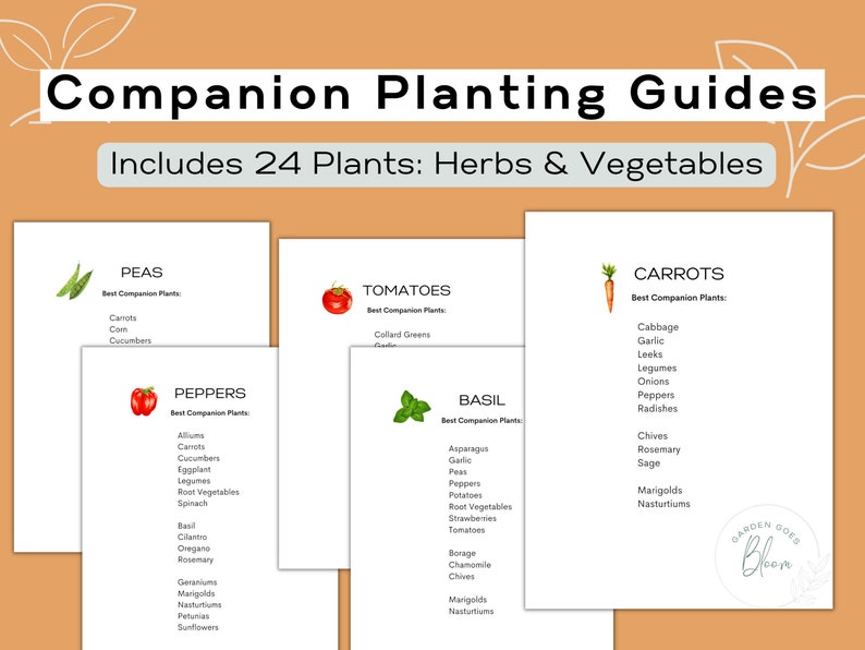 Printable Companion Planting Chart Quick Garden Reference - Etsy