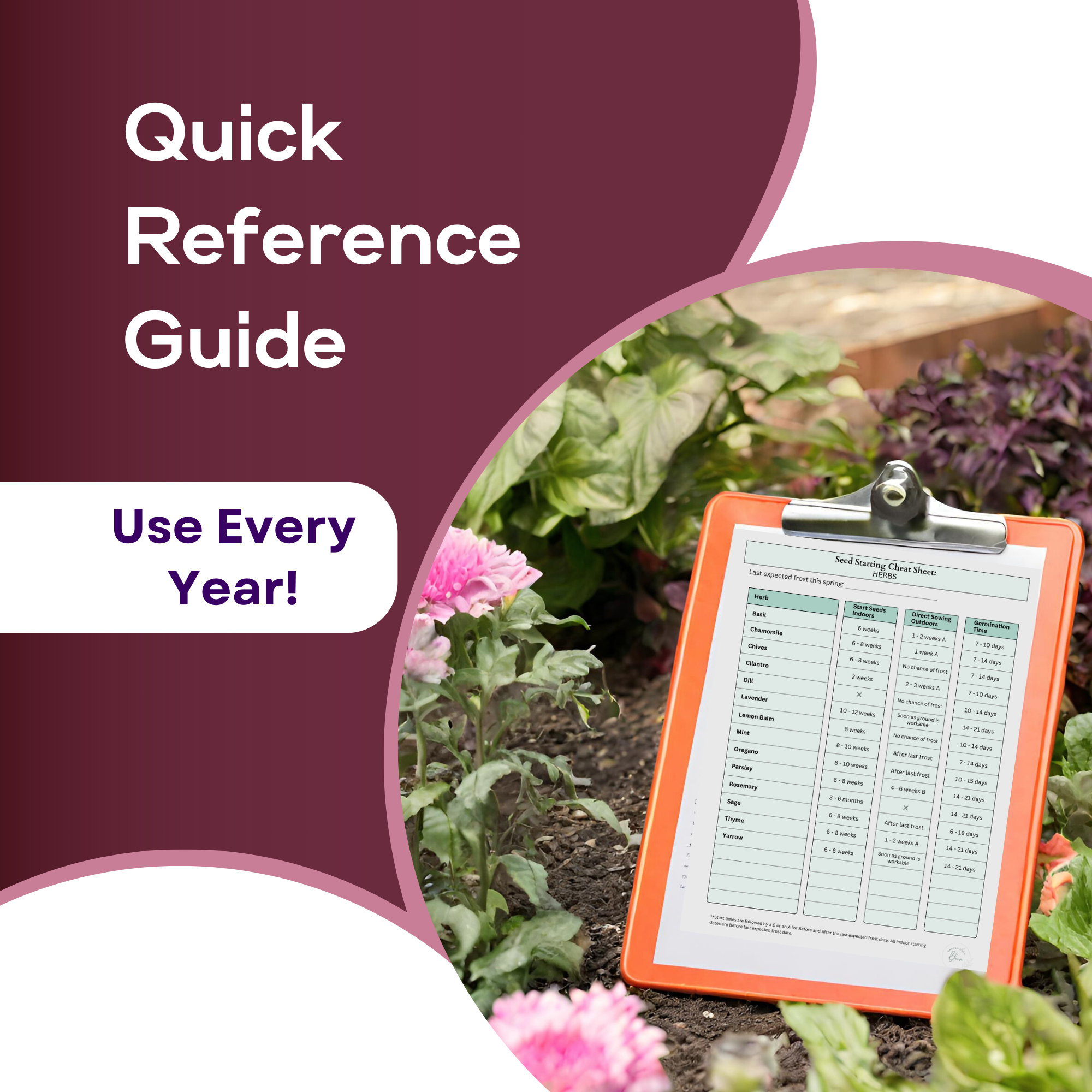 Seed Starting Cheat Sheet Planting Guide & Companion Planting Chart ...