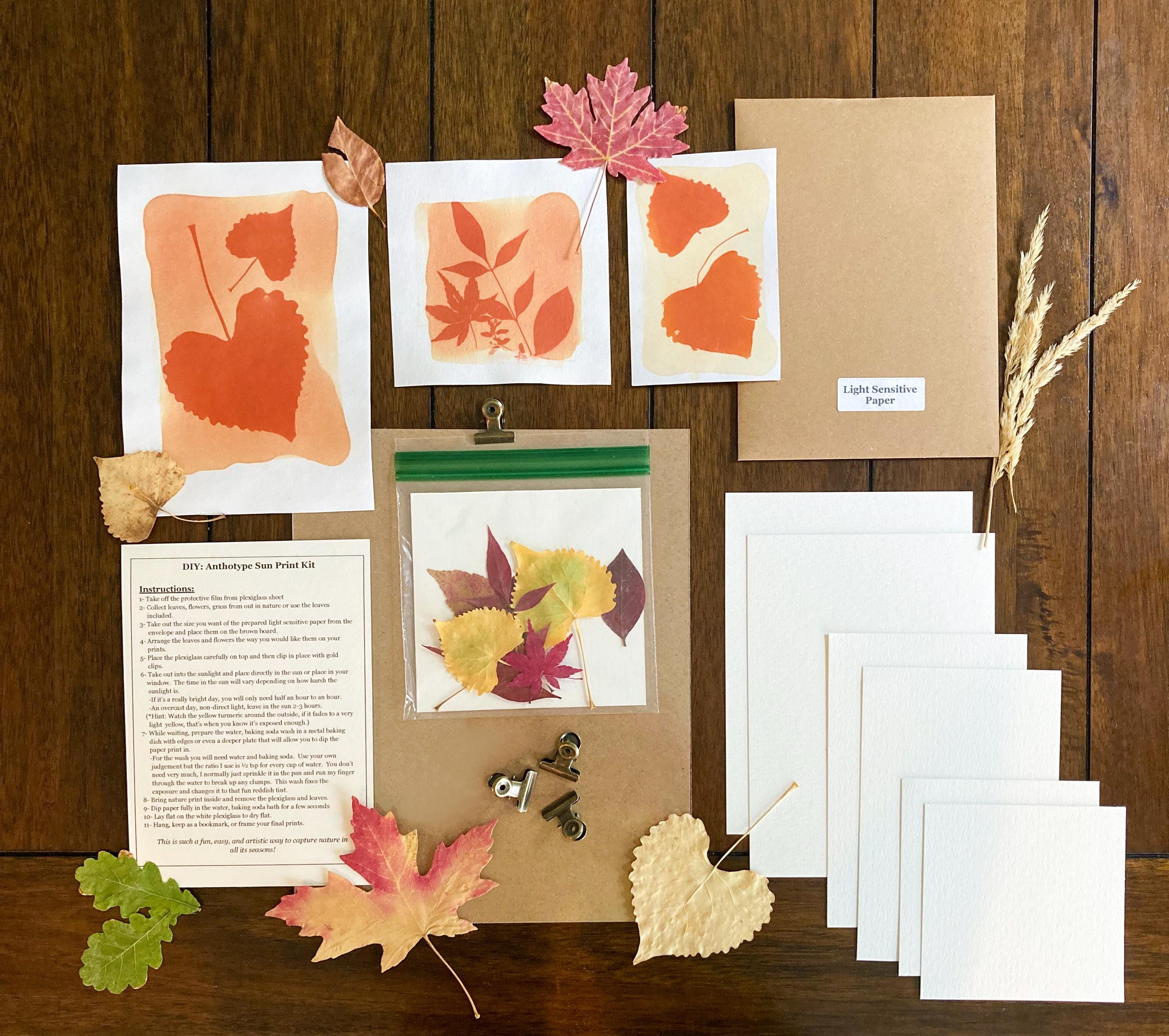 DIY Anthotype Solar Printing Kit, Artistic Sun Printing, Fall Craft Kit ...