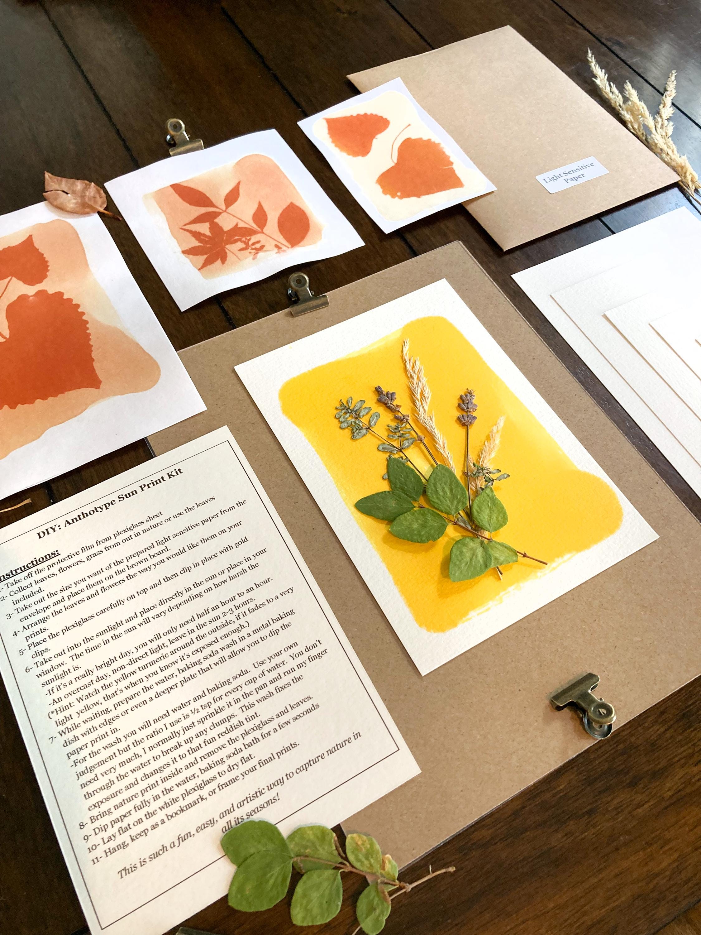 DIY Anthotype Solar Printing Kit, Artistic Sun Printing, Fall Craft Kit ...