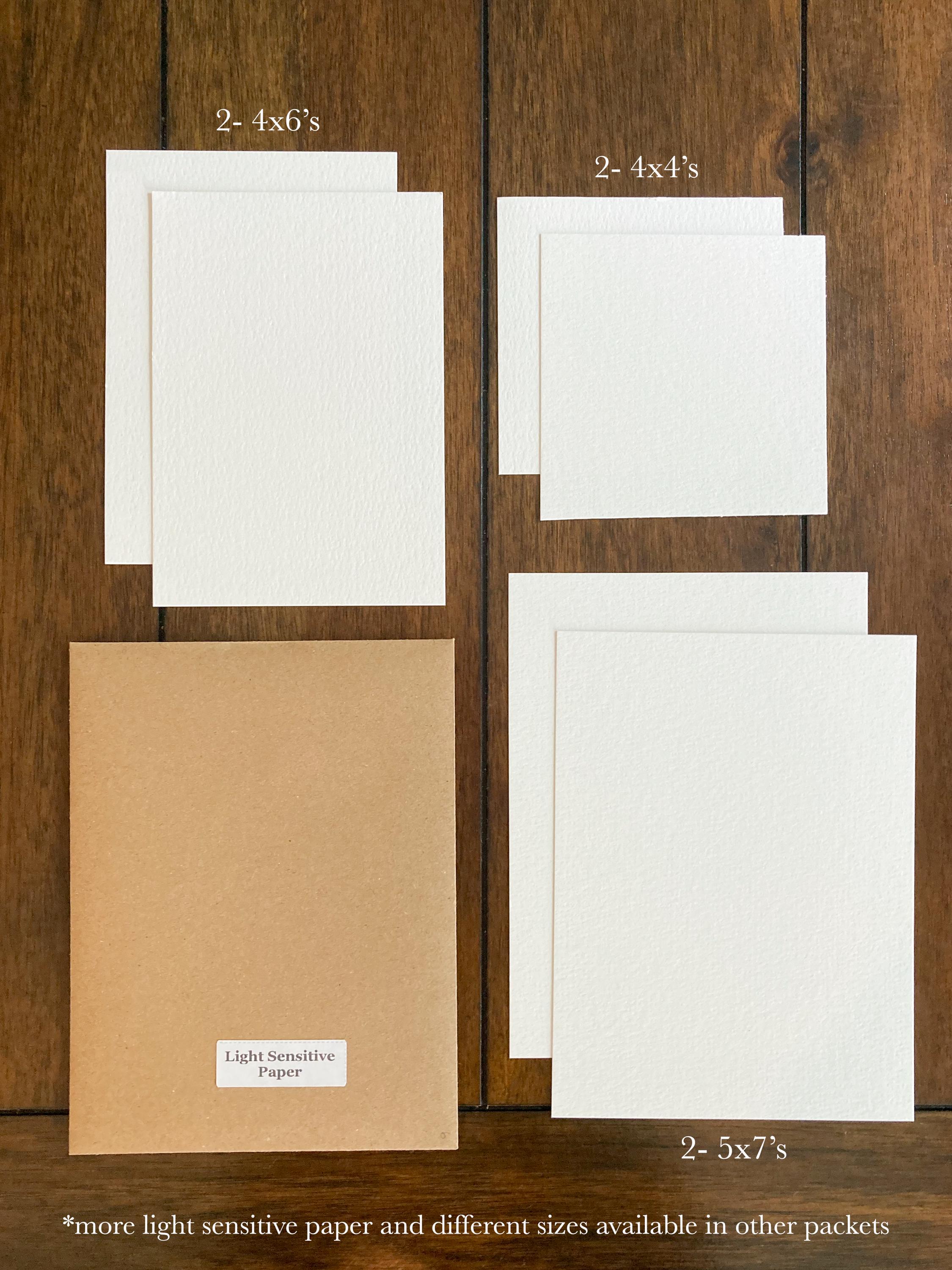 DIY Anthotype Solar Printing Kit, Artistic Sun Printing, Fall Craft Kit ...