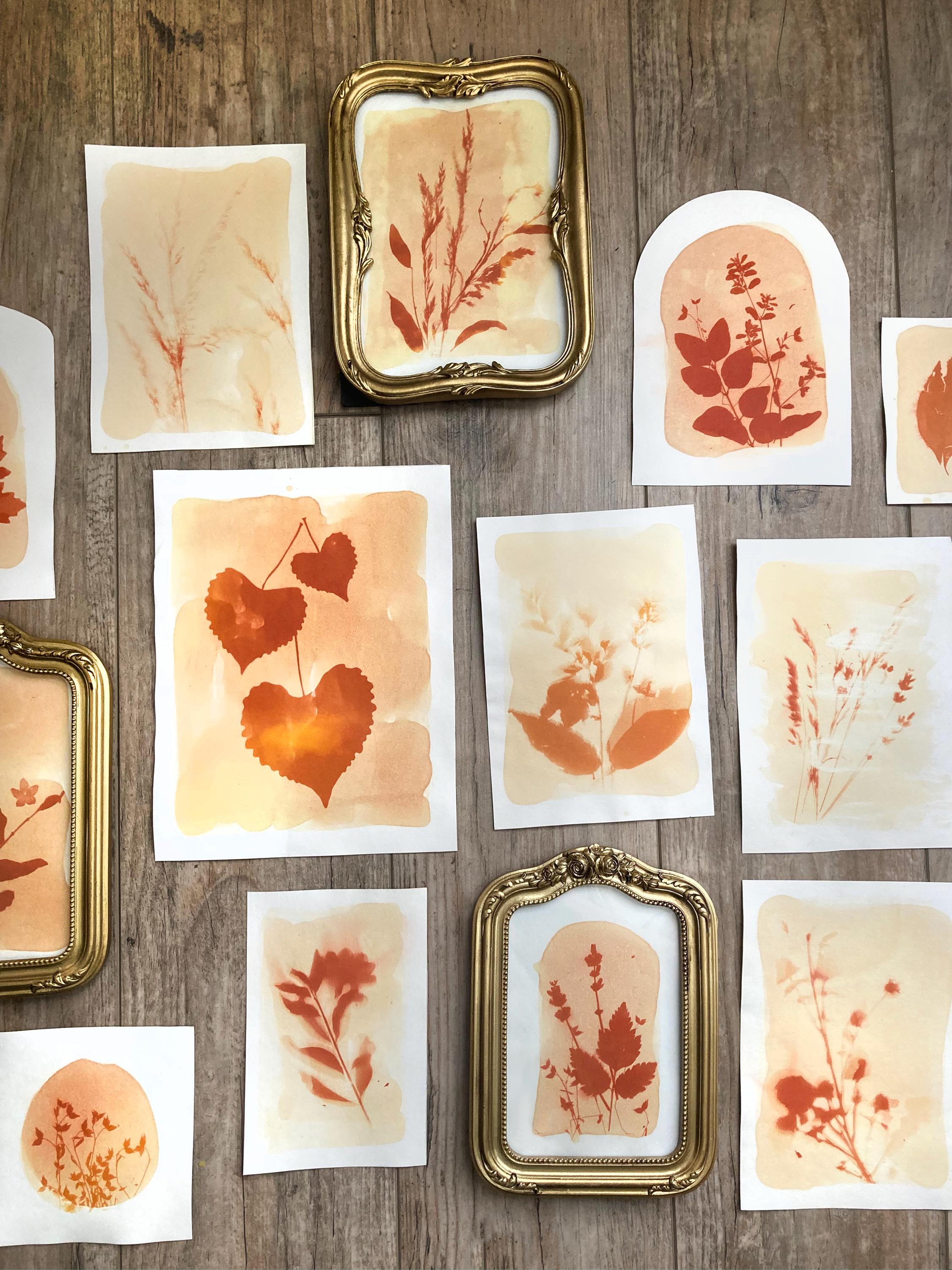 DIY Anthotype Solar Printing Kit, Artistic Sun Printing, Fall Craft Kit ...