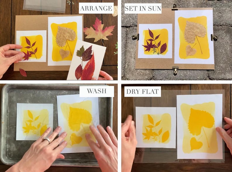 DIY Anthotype Solar Printing Kit, Artistic Sun Printing, Fall Craft Kit ...