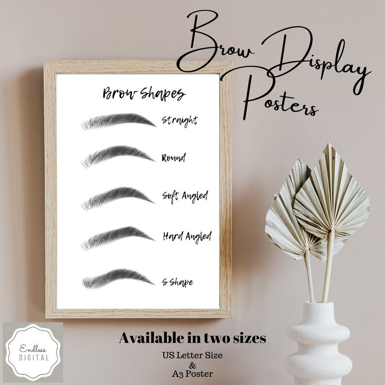 Brow Display Poster, Eyebrow Shapes, Eyebrow Style Poster, Beauty Salon ...