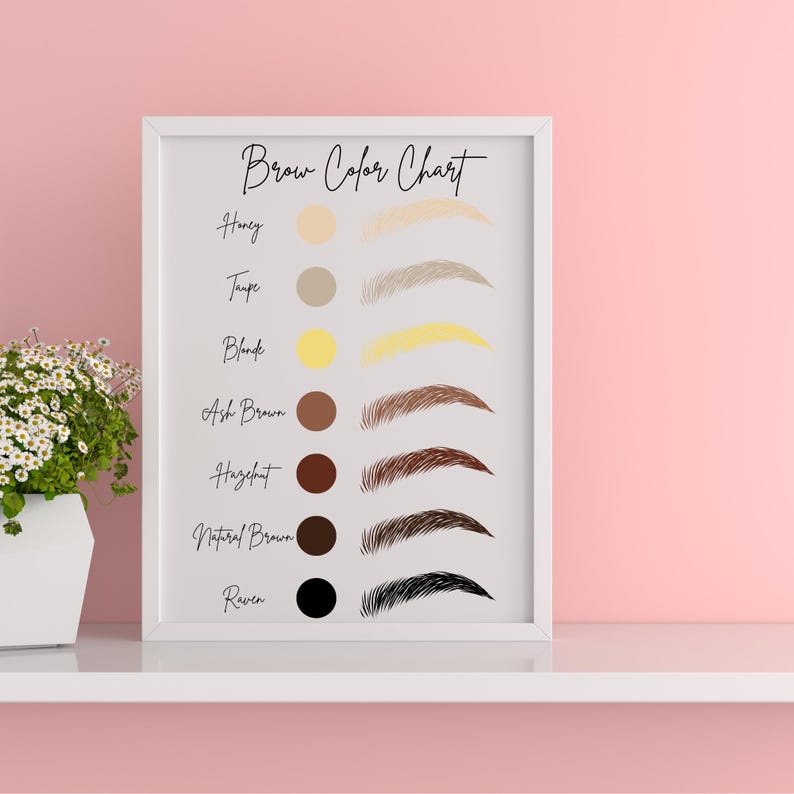 Brow Color Chart Printable | Eyebrow Color Chart Digital Download | Brow Mapping Guide | Salon ...