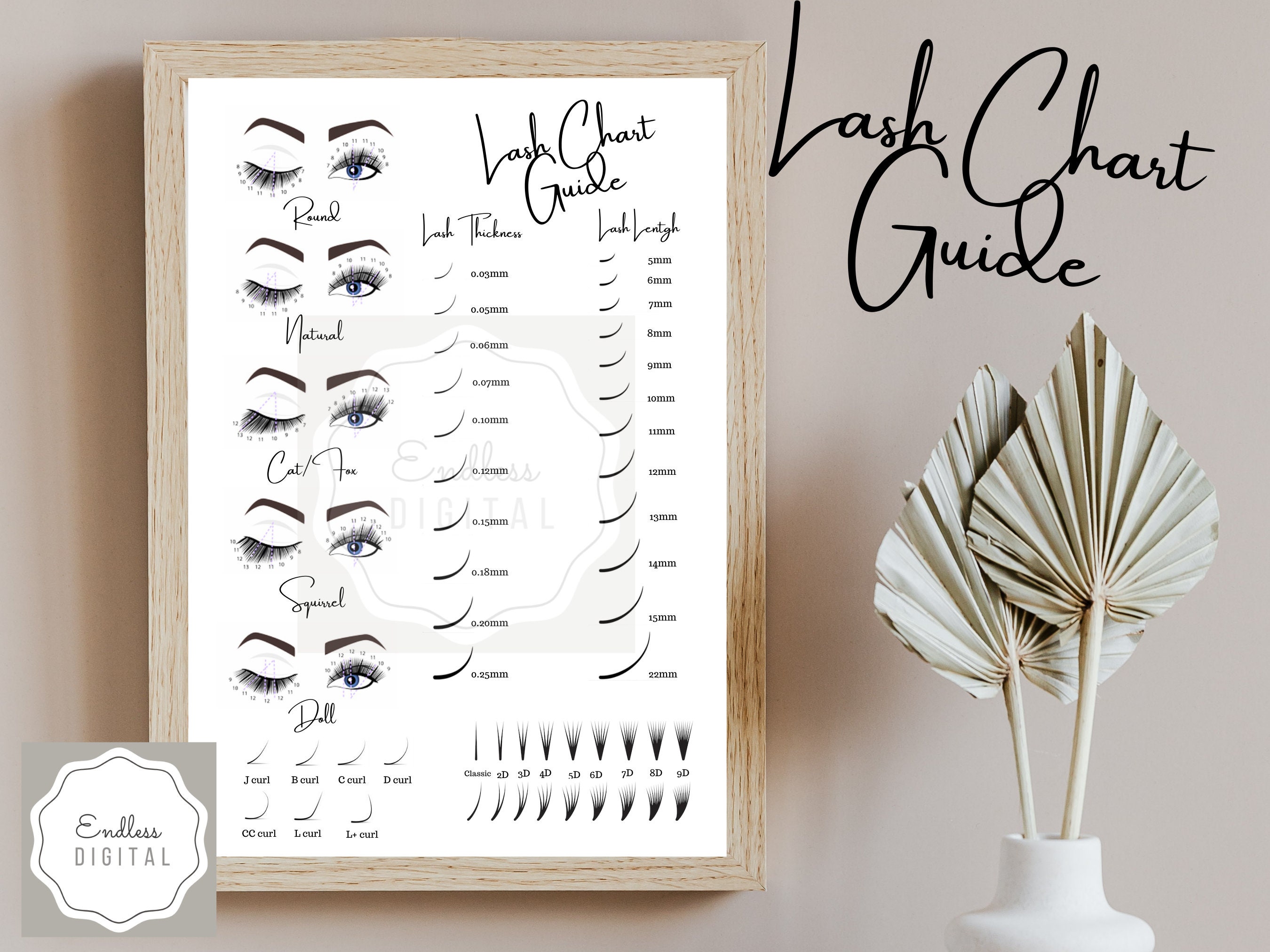 Lash Extension Chart Guide: Lash Mapping & Training (PDF) - Etsy