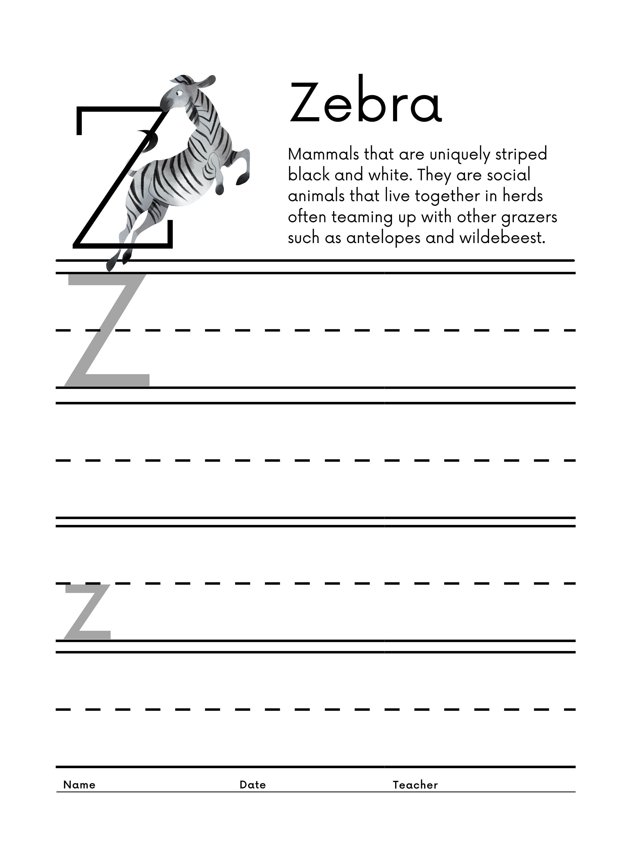 Alphabet Practice Workbook for Kids With Bonus Fun Animal Names and ...