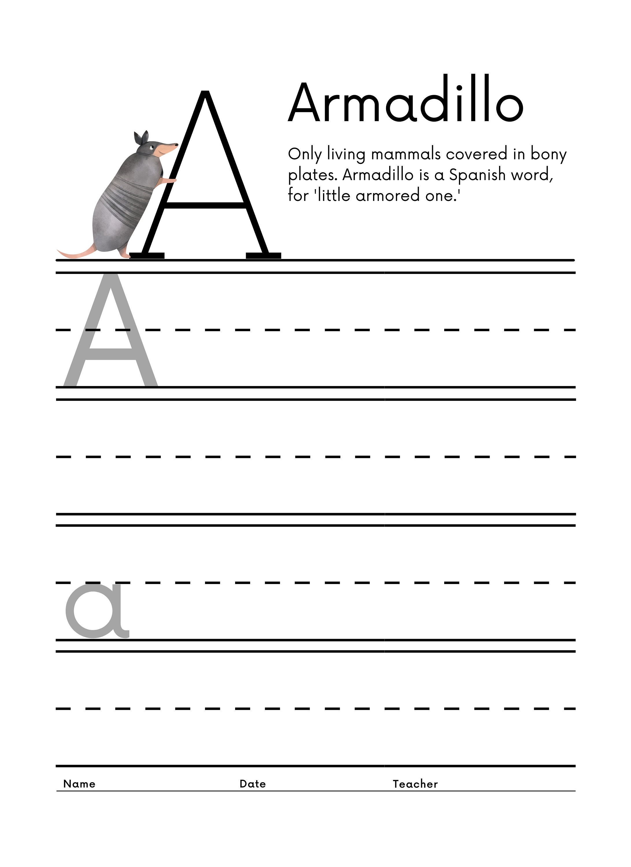 Alphabet Practice Workbook for Kids With Bonus Fun Animal Names and ...