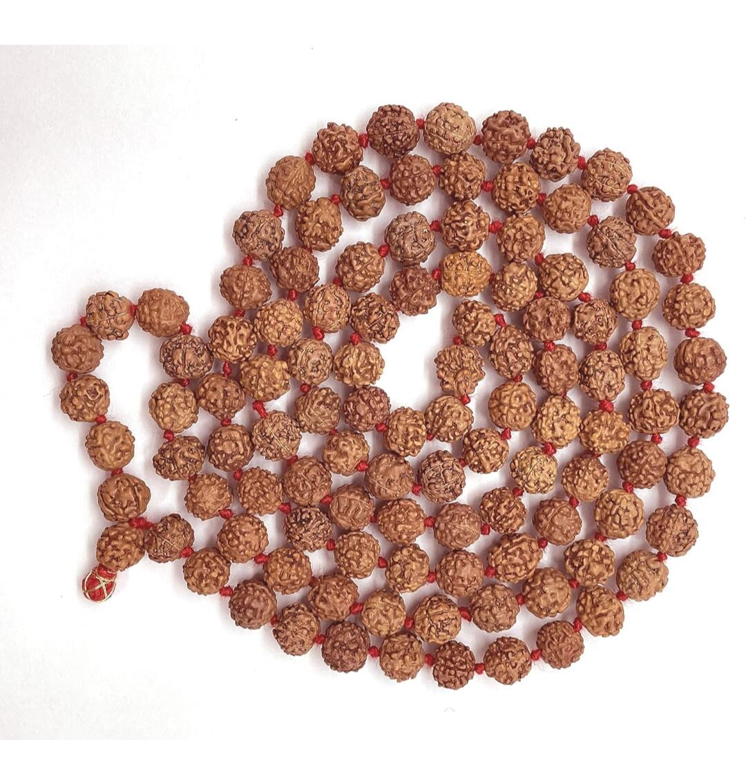 8mm Rudraksha (dried) Jaap Mala Hand-tied Knots Between Each Bead, 108 ...