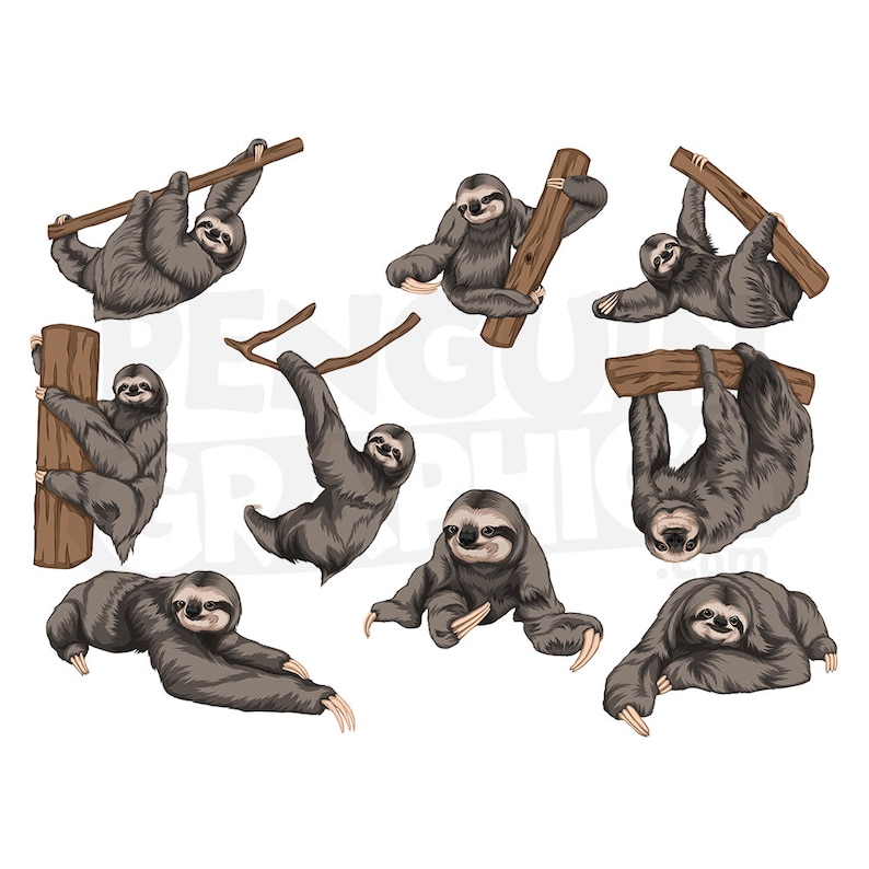 Cool Sloth Clipart Digital Downloads, 9 Sloth Illustrations Bundle JPEG ...