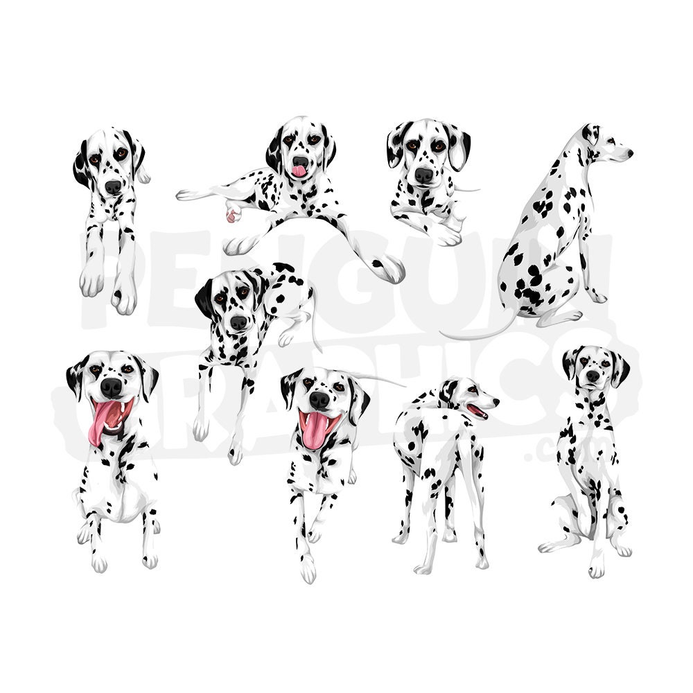 Cool Dalmatian Dogs Clipart Digital Downloads 9 Dog - Etsy