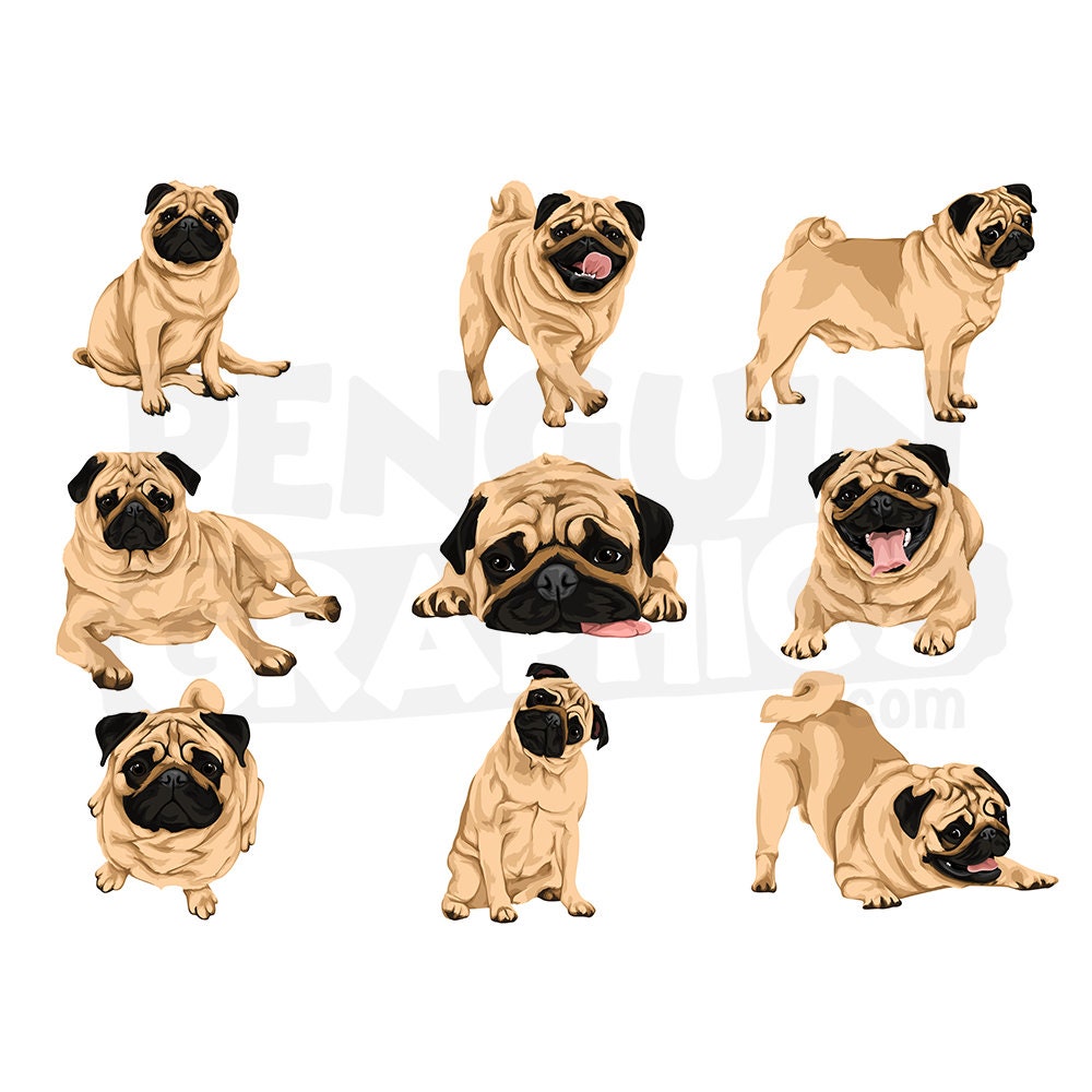 Pug Dogs Clipart Digital Downloads, 9 Dog Illustrations Bundle JPEG ...