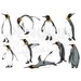 King Penguin Clipart Digital Downloads, 9 Penguin Illustrations Bundle ...