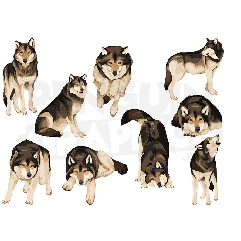 Wolf Clipart Digital Downloads, 9 Wolves Illustrations Bundle JPEG, PNG ...