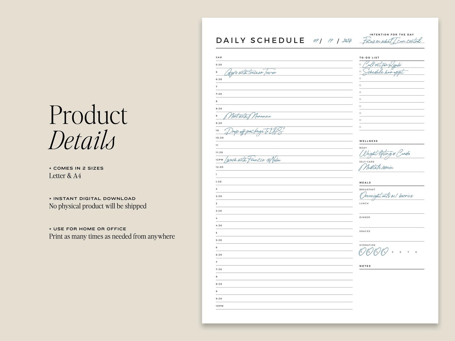 Daily Schedule Planner, Daily Overview, Productivity Planner, to Do ...
