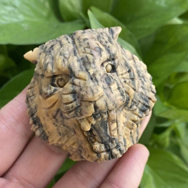 Tiger Skin Jasper - Etsy