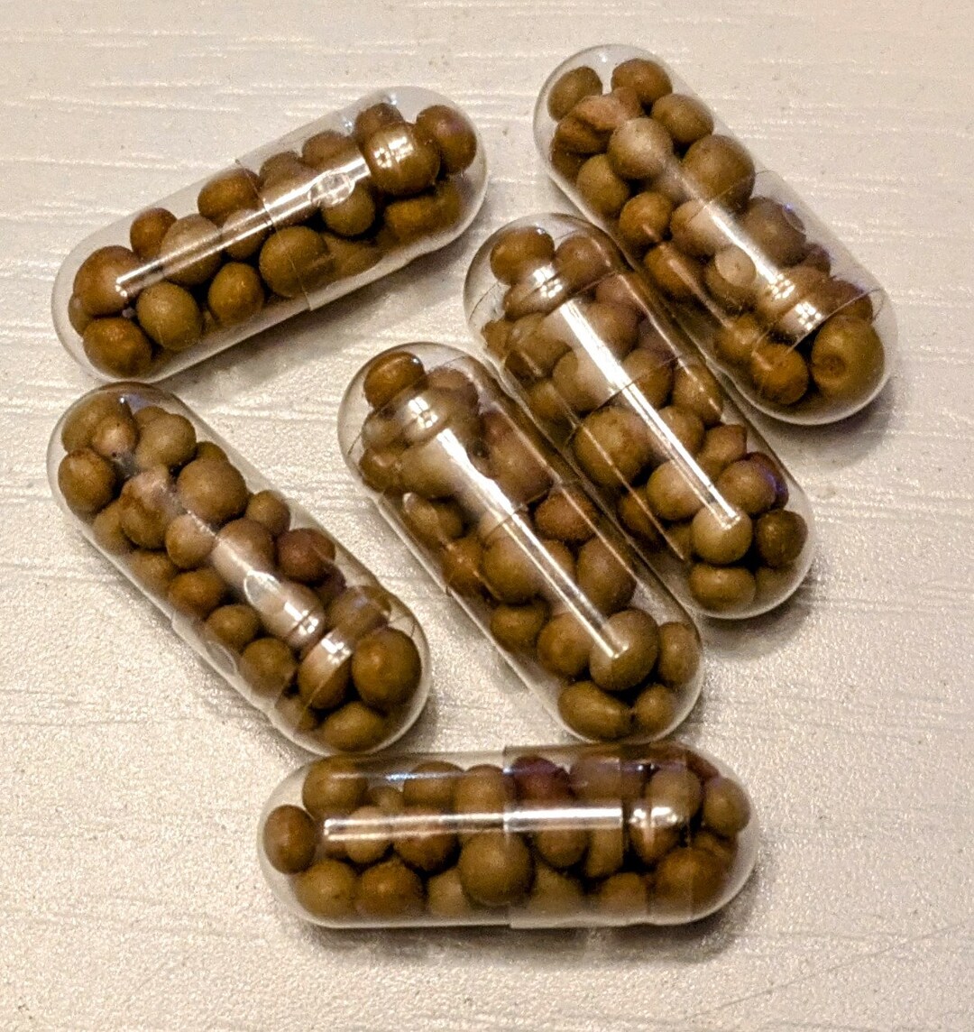 Aquarium Root Tabs (for Freshwater Plants) 12 Count - Etsy