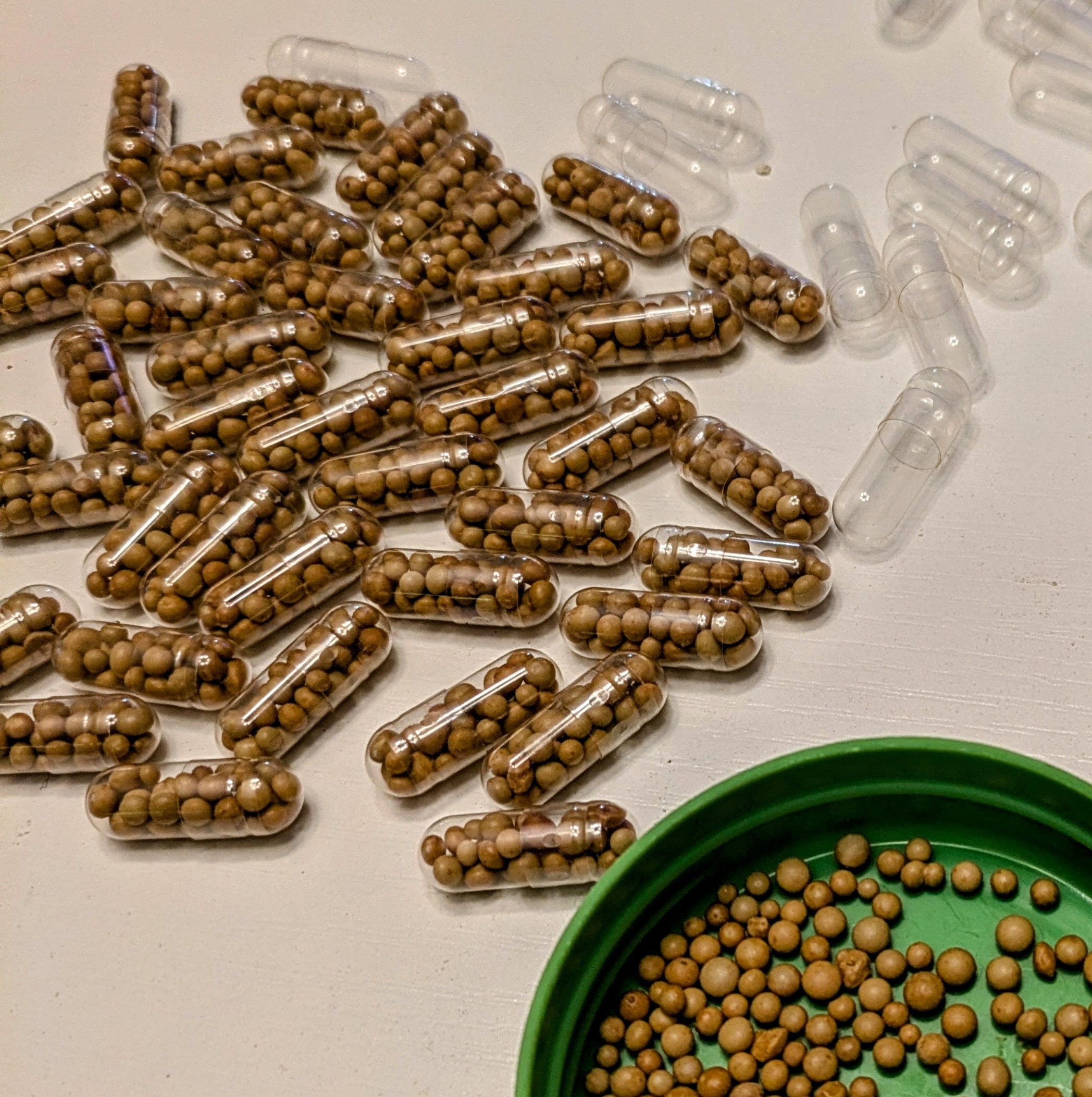 Aquarium Root Tabs (for Freshwater Plants) 12 Count - Etsy
