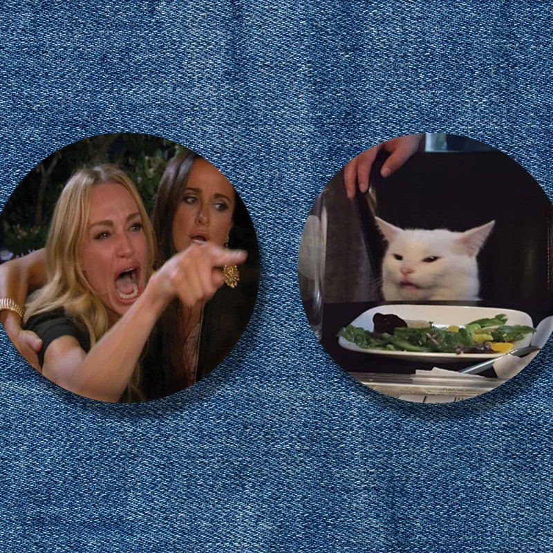 Woman Yelling at Cat - Etsy