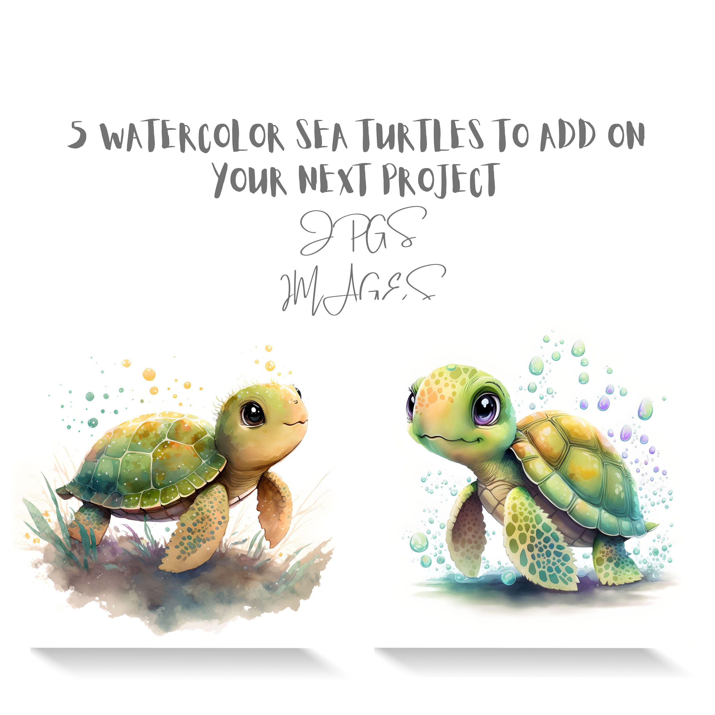 Watercolor Sea Turtles Clipart Bundle for Commercial Use Nursery Decor ...