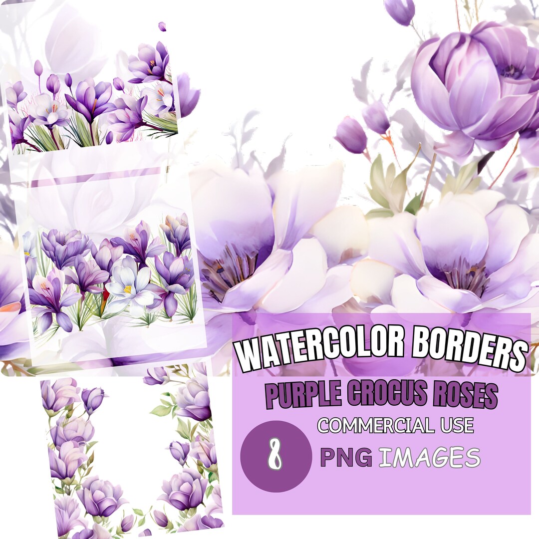 Purple Crocus Roses Watercolor Clipart for Wedding Invitations, Card ...