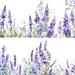 Lavender Wildflower Borders Clipart Bundle DIY Wedding Invites ...