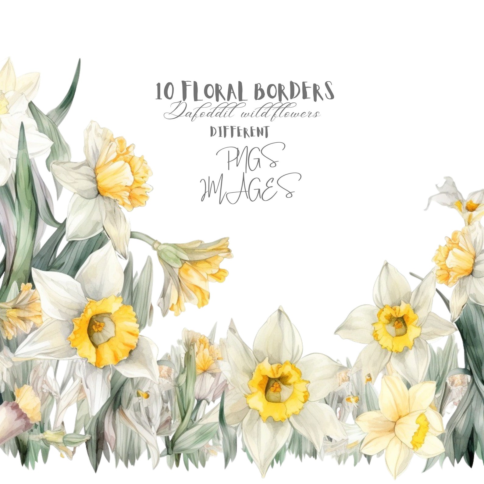 Watercolor Daffodil and Wildflower Borders Clipart Bundle for Nursery ...
