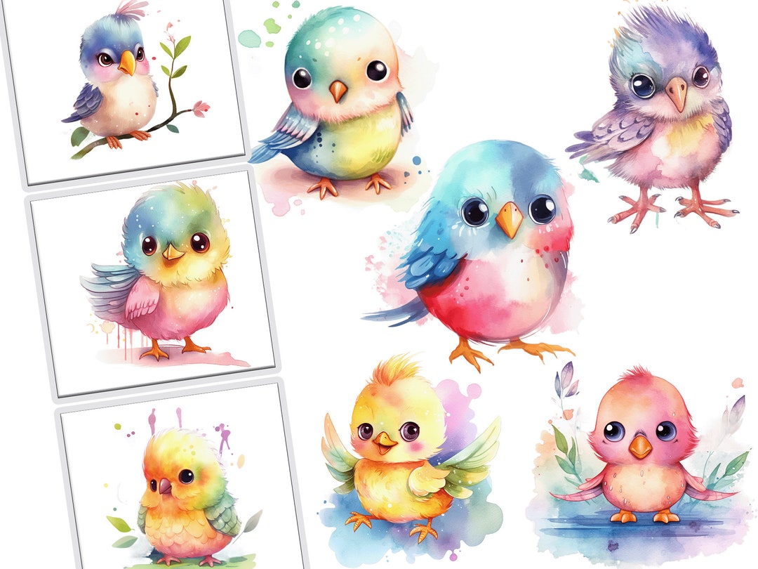 Watercolor Clipart Bundle Adorable Cute Bird Graphics for Commercial ...