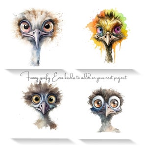 Watercolor Funny Goofy Emu Birds Clipart Bundle for Commercial - Etsy