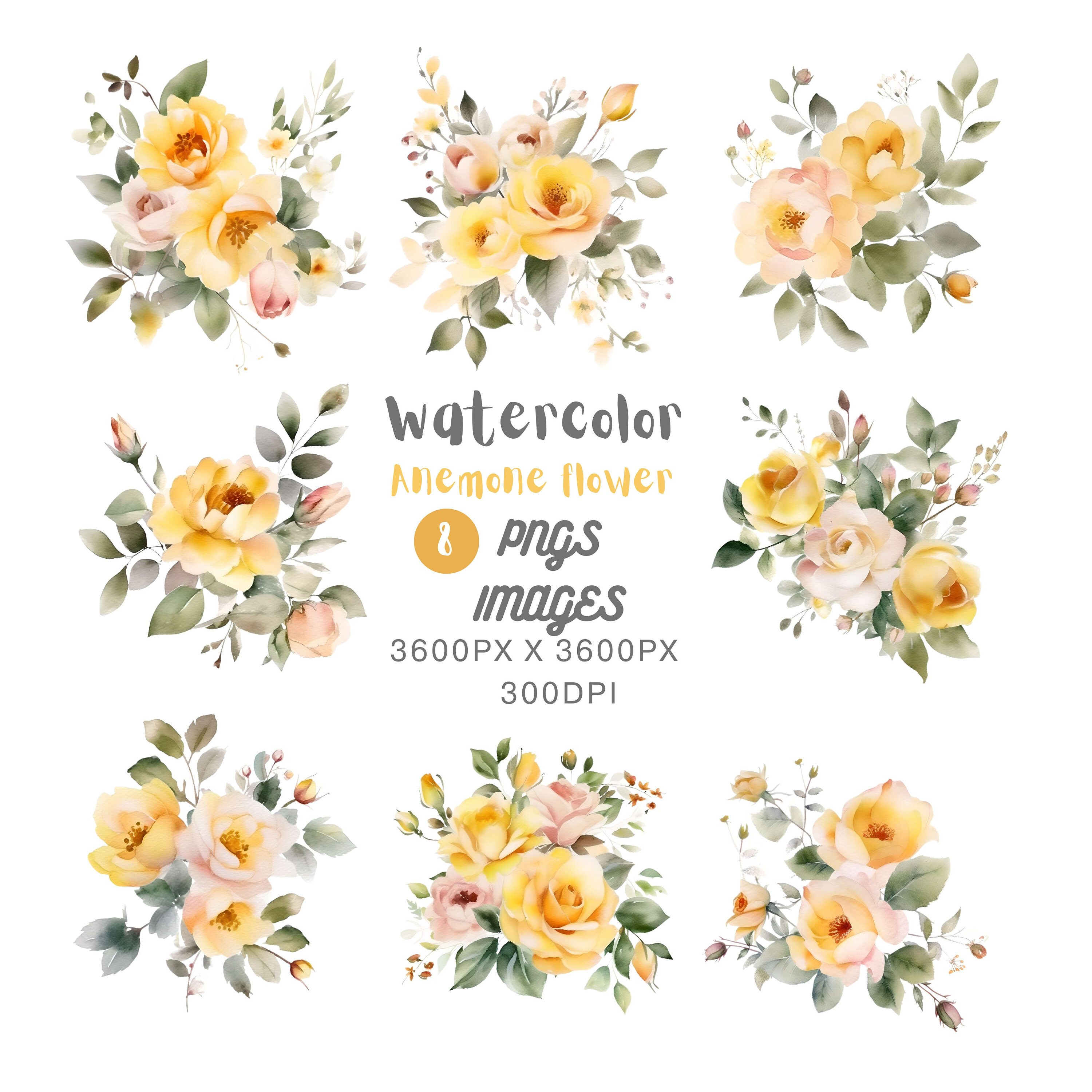 Yellow Rose Clipart Bundle, Watercolor Floral Graphics, Digital ...