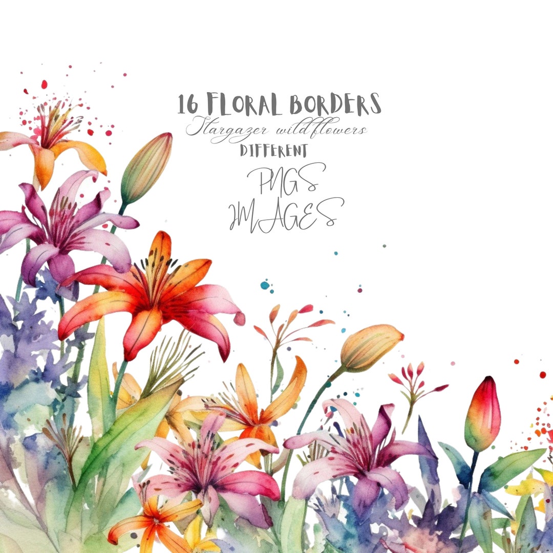 Watercolor Stargazer Wildflowers Borders Clipart - Etsy