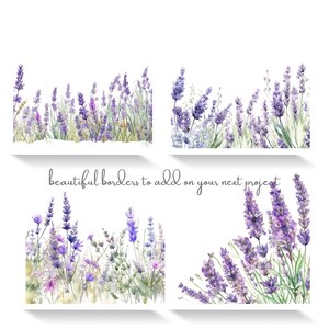 Watercolor Lavender Clipart Bundle,wedding,lavender Clipart,purple ...