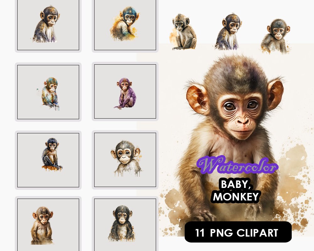 Baby Monkey Clipart Bundle for Commercial Use Popular Pngs - Etsy
