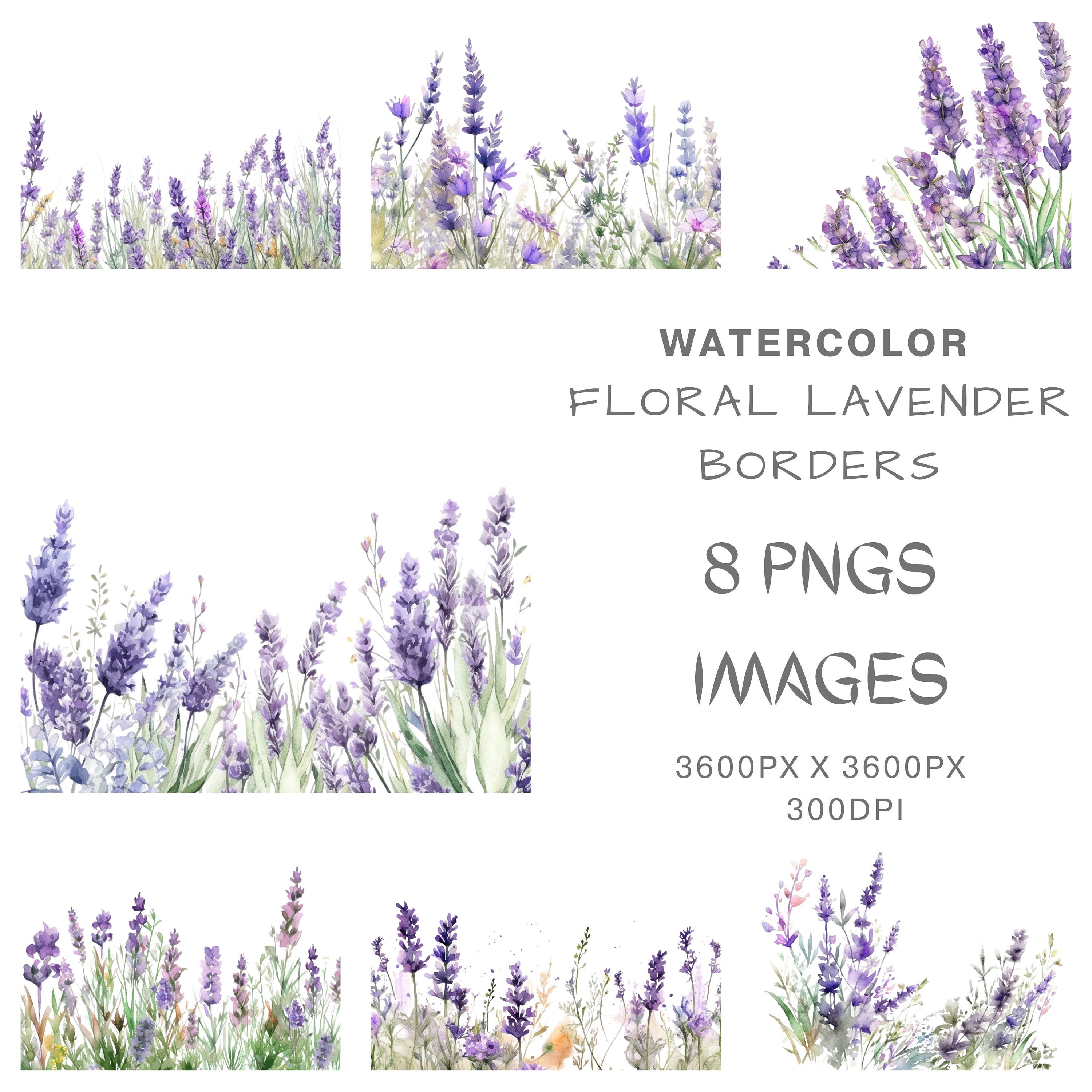 Watercolor Lavender Clipart Bundleweddinglavender - Etsy