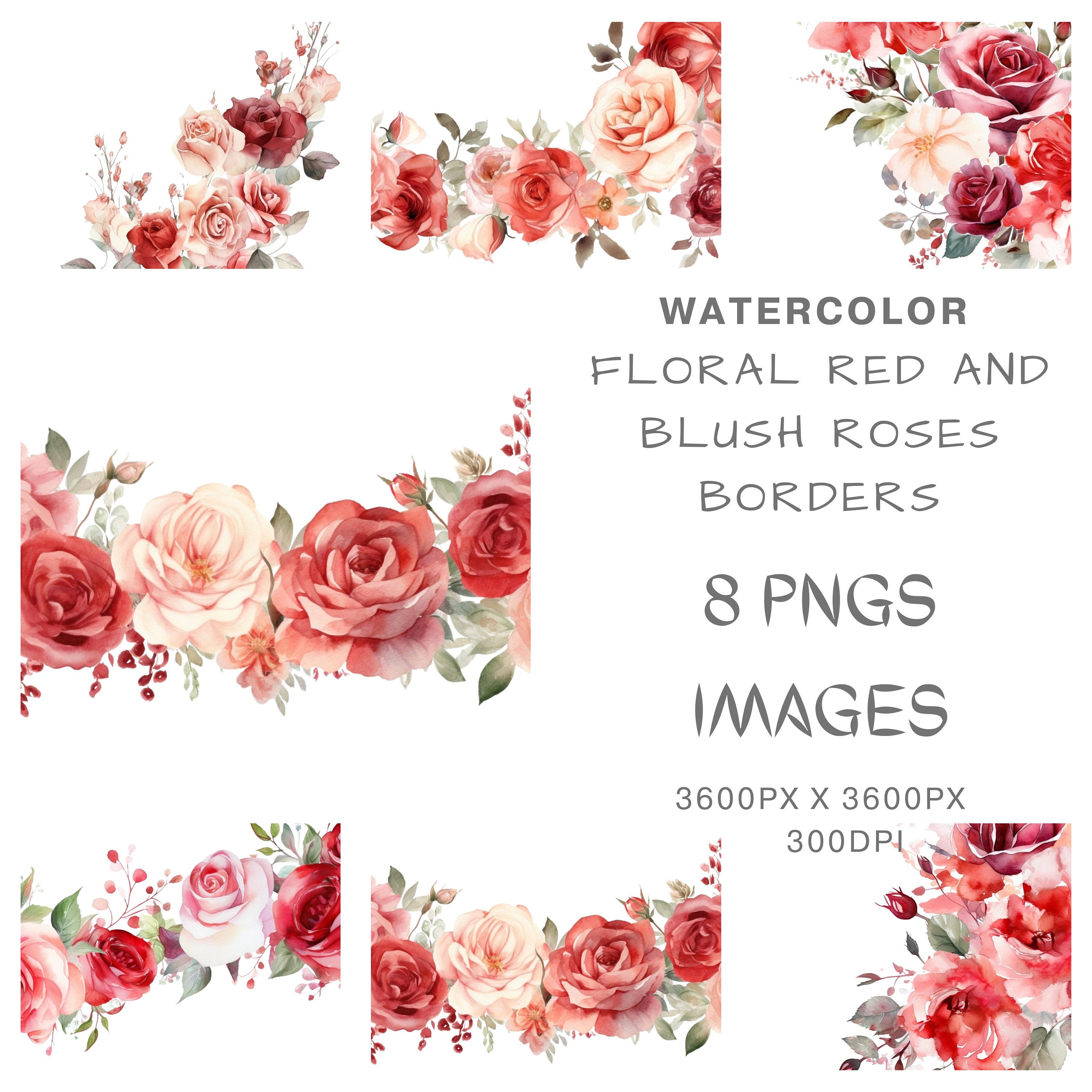Watercolor Red and Blush Roses Borders Clipart Bundle for - Etsy