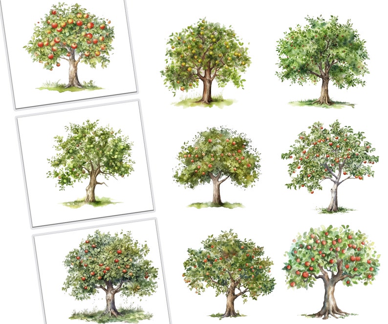 Watercolor Apple Tree Clipart Bundle,commercial Use, Apple Tree ...