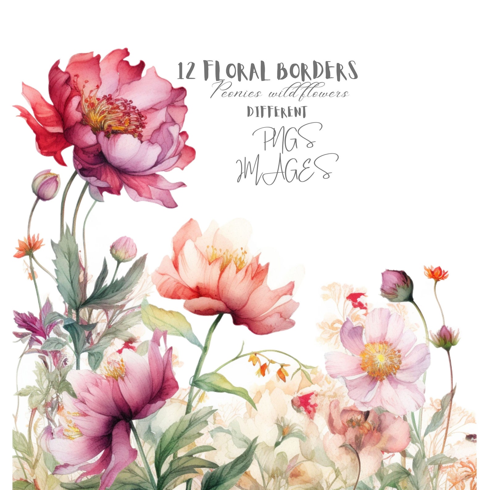 Watercolor Floral Peonies Wildflowers Borders Clipart Bundle,commercial ...