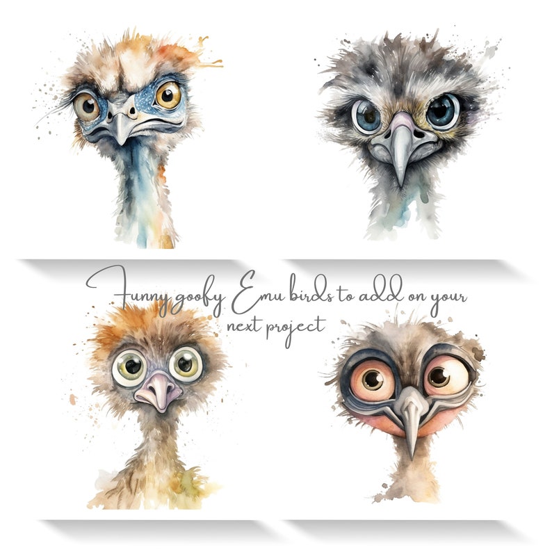 Watercolor Funny Goofy Emu Birds Clipart Bundle for Commercial - Etsy