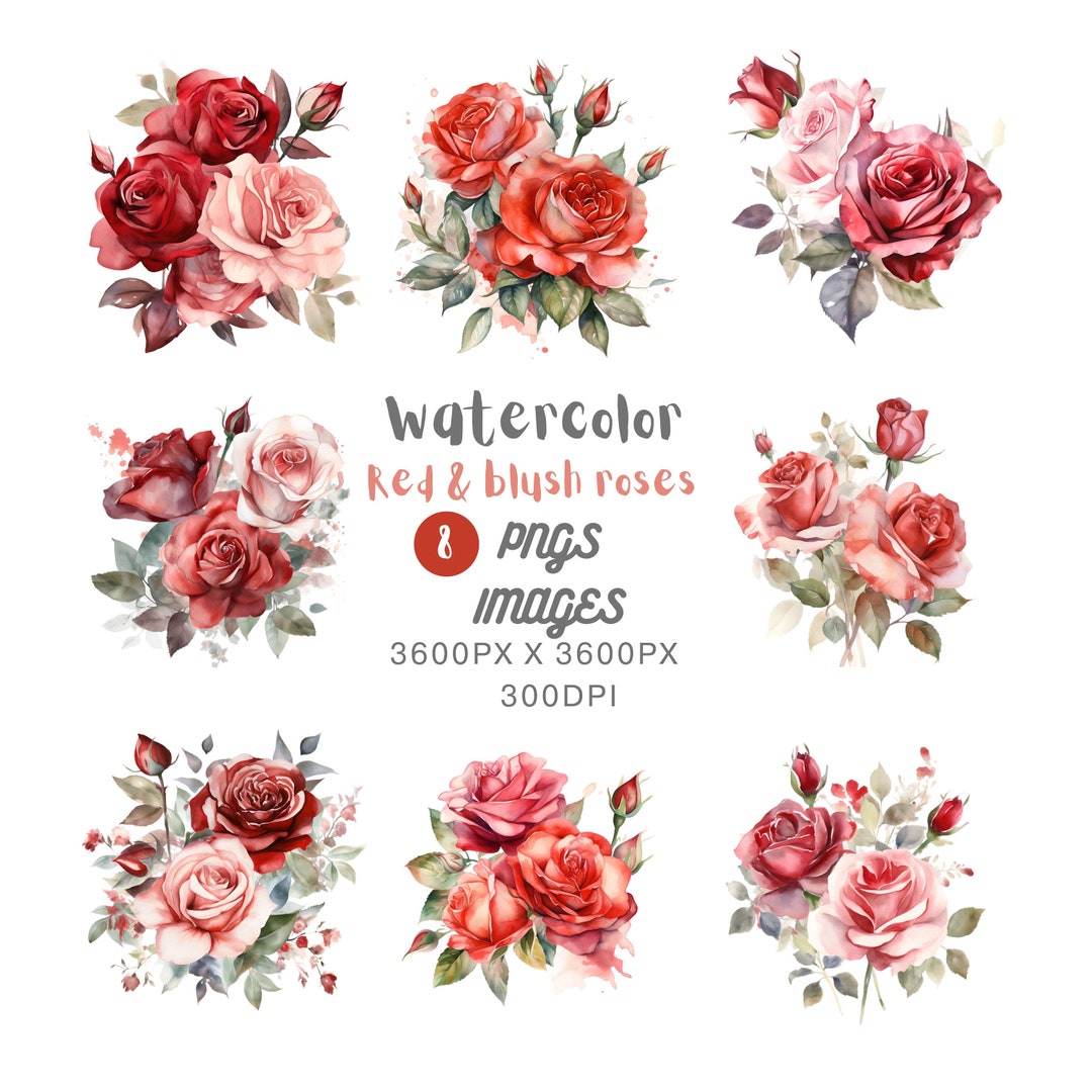 Watercolor Red and Blush Roses Clipart Bundle for Commercial Use ...