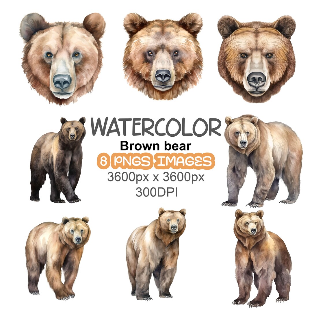 Watercolor Cliparts Bundle: Commercial Use Watercolor Brown Bear ...