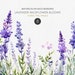 Lavender Wildflower Borders Clipart Bundle DIY Wedding Invites ...