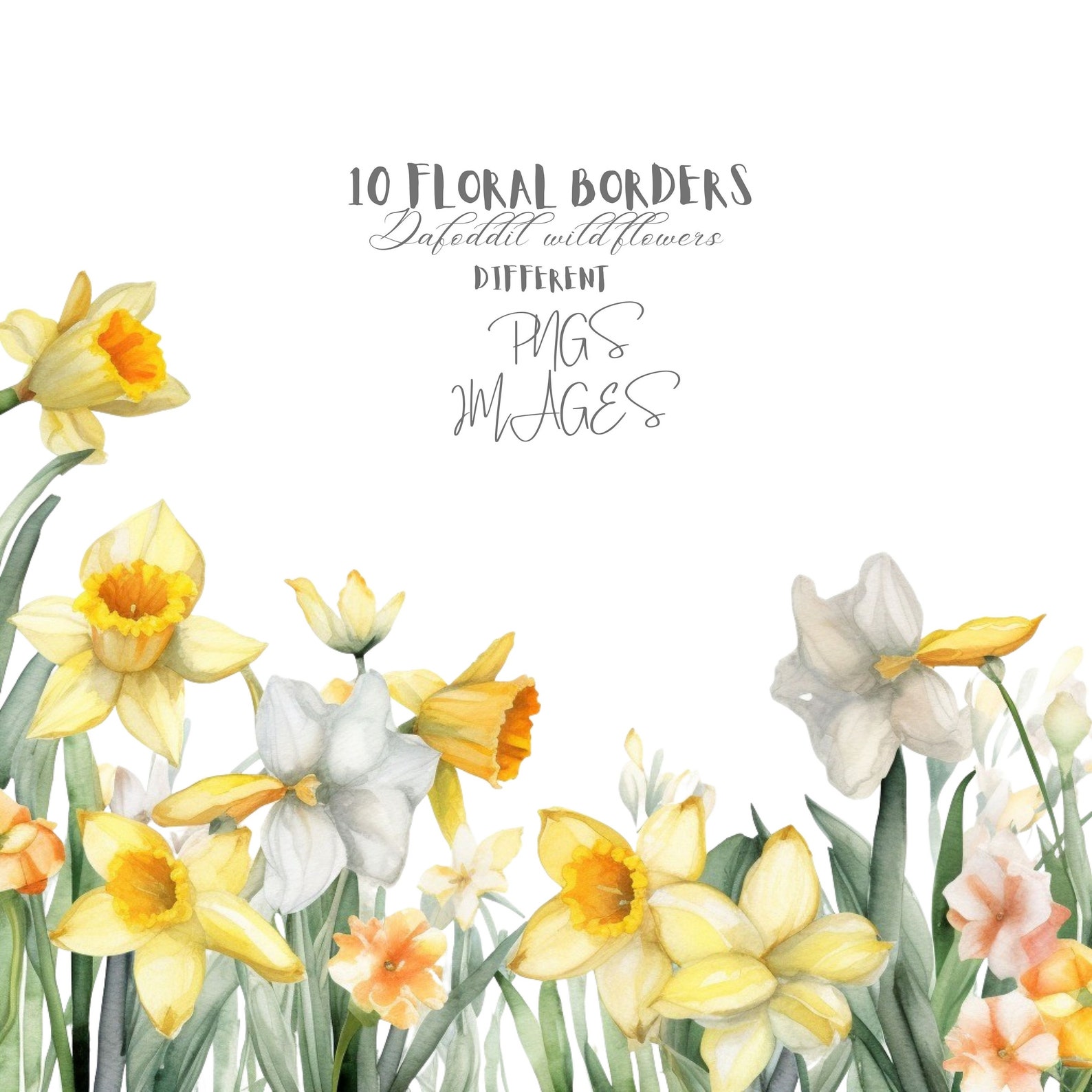 Watercolor Daffodil and Wildflower Borders Clipart Bundle for Nursery ...