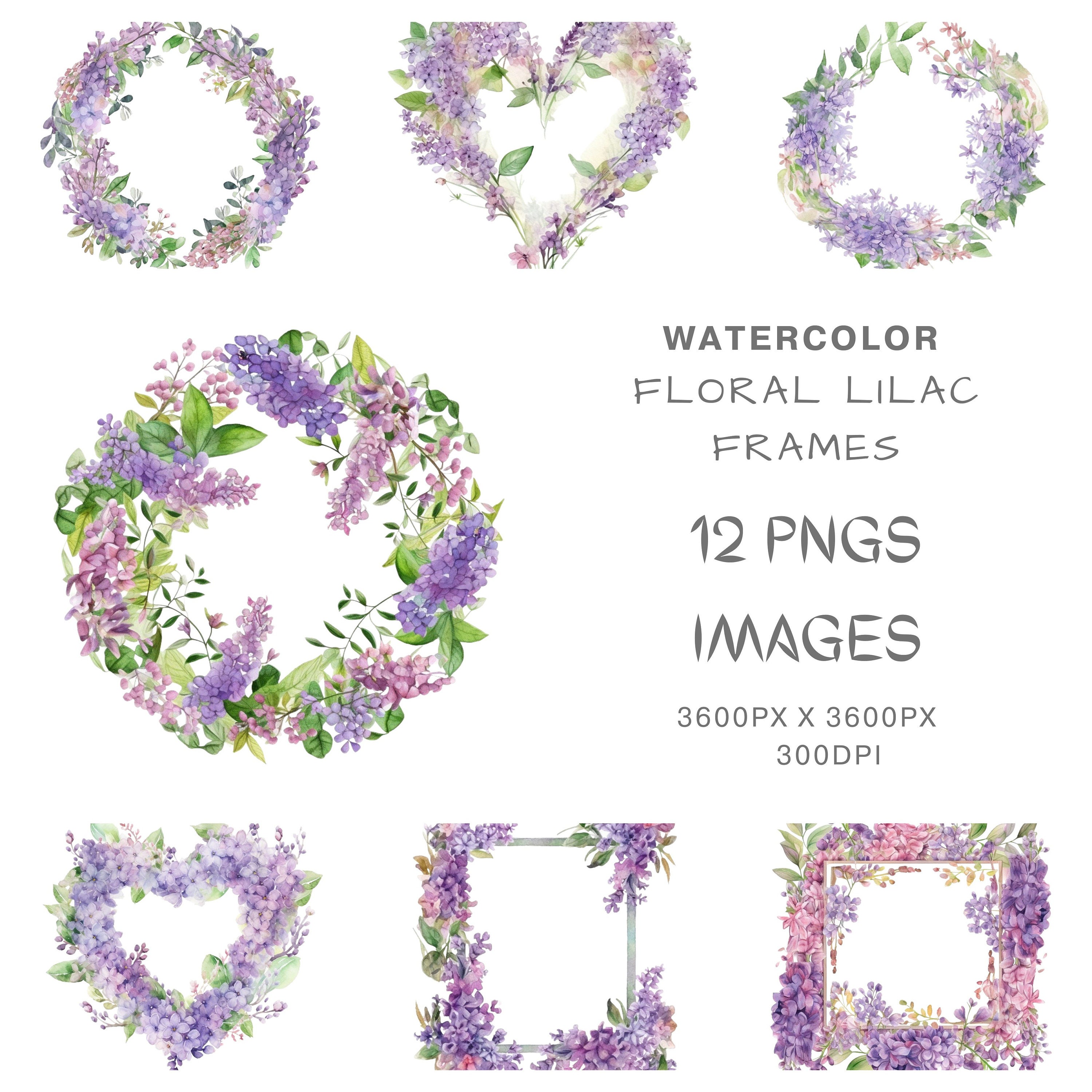 Watercolor Floral Lilac Frames Clipart Bundle PNG Commercial - Etsy