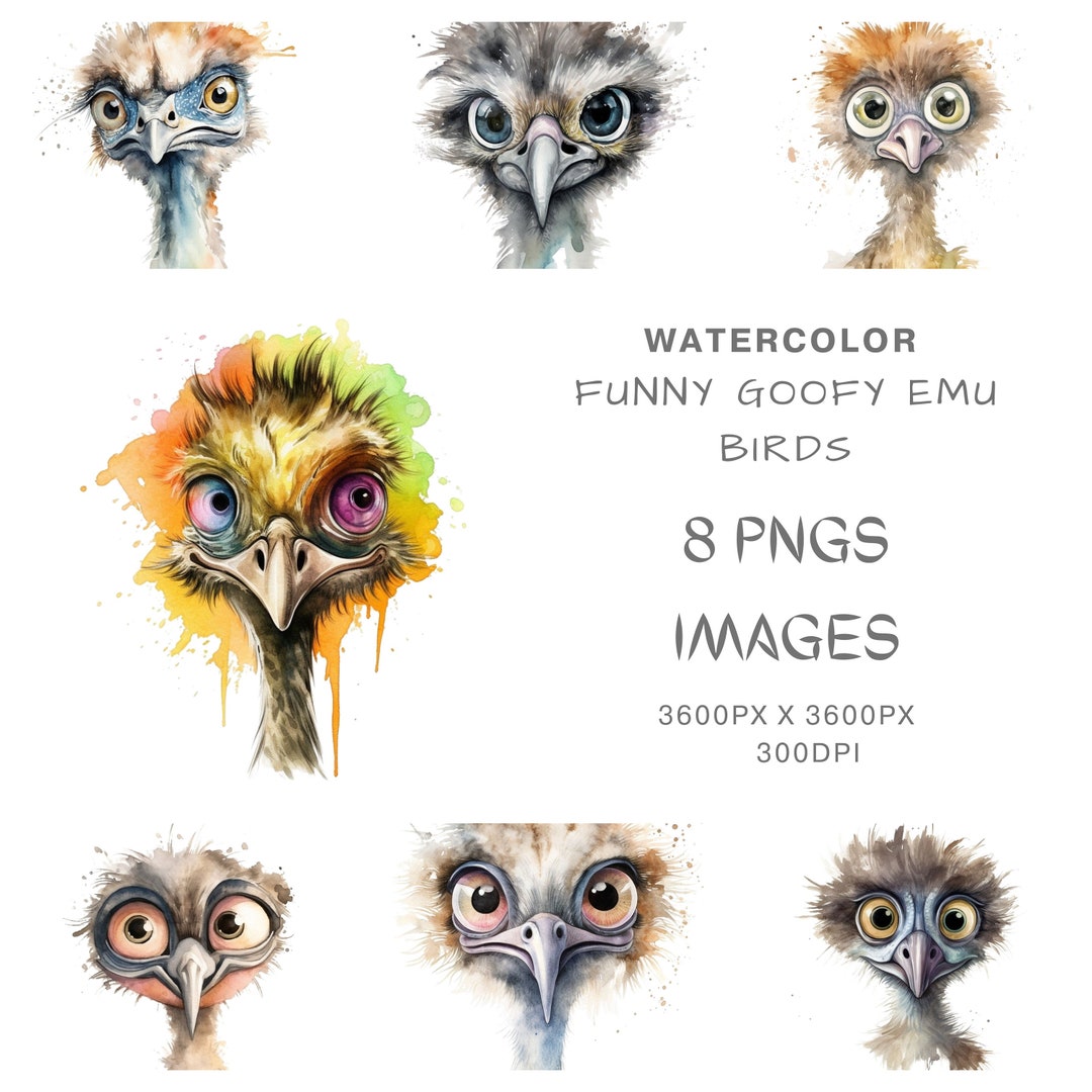 Watercolor Funny Goofy Emu Birds Clipart Bundle for Commercial - Etsy