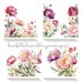 Watercolor Floral Peonies Wildflowers Borders Clipart Bundle,commercial ...