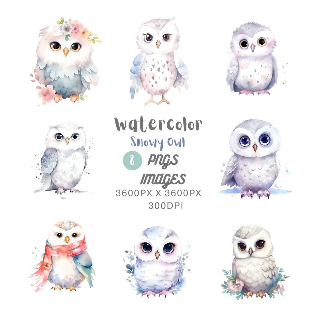 Watercolor Cute Kawaii Snowy Owl Clipart Bundle, Commercial Use PNG ...