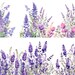 Lavender Wildflower Borders Clipart Bundle DIY Wedding Invites ...