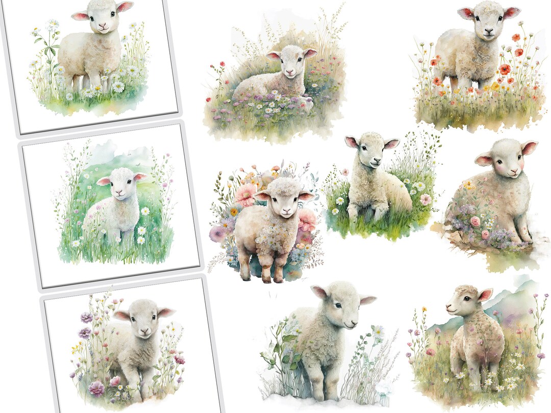 Watercolor Sheep Clipart Bundle,sheep Png, Watercolor Sheep, Sheep ...