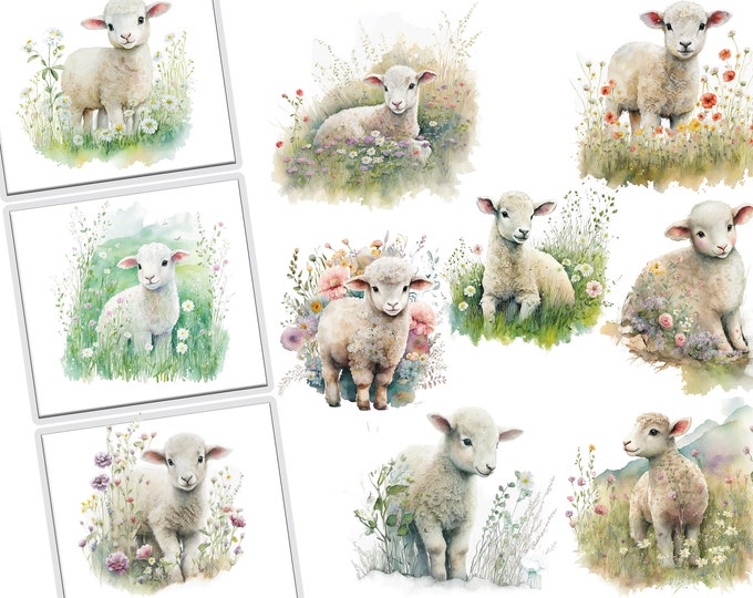 Watercolor Sheep Clipart Bundle,sheep Png, Watercolor Sheep, Sheep ...